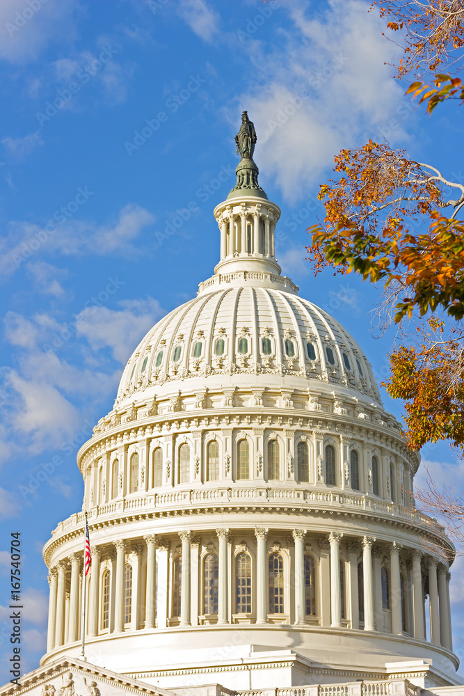 The dome of US Capitol building and colorful autumn tree foliage ...