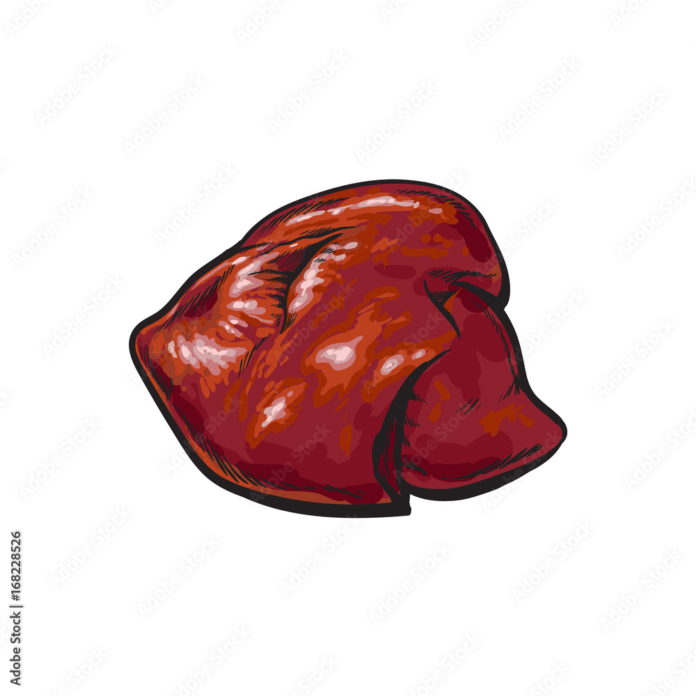 vector pork raw liver offal sketch. Isolated illustration on a white ...