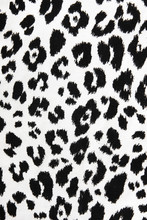 Leopard Print Tile Free Stock Photo - Public Domain Pictures