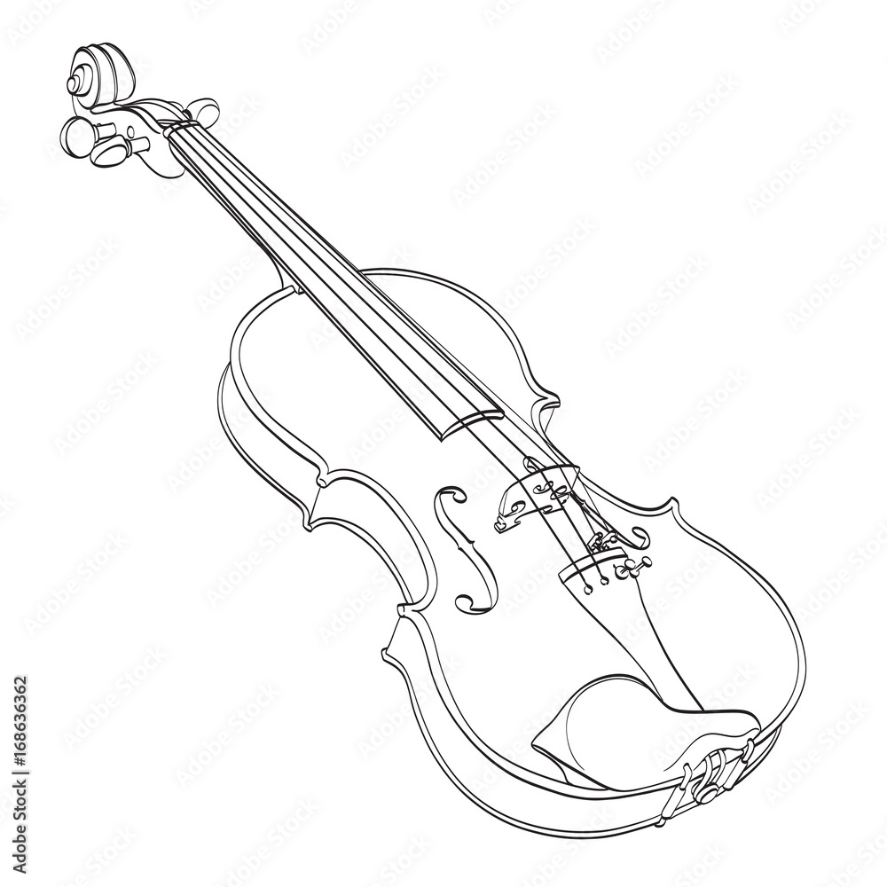 violin outline drawing on white. hand drawn contour line of wooden ...