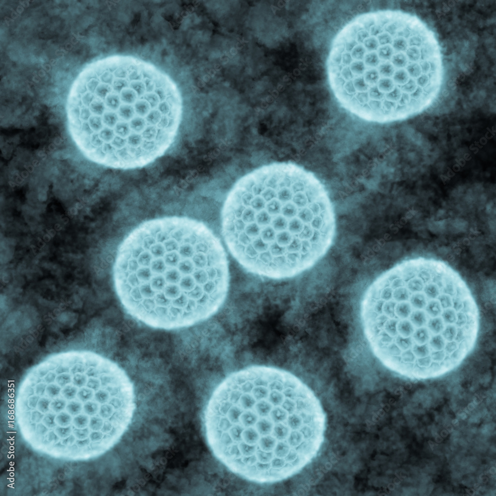 Microscopic view of the Zika Virus Stock Illustration | Adobe Stock