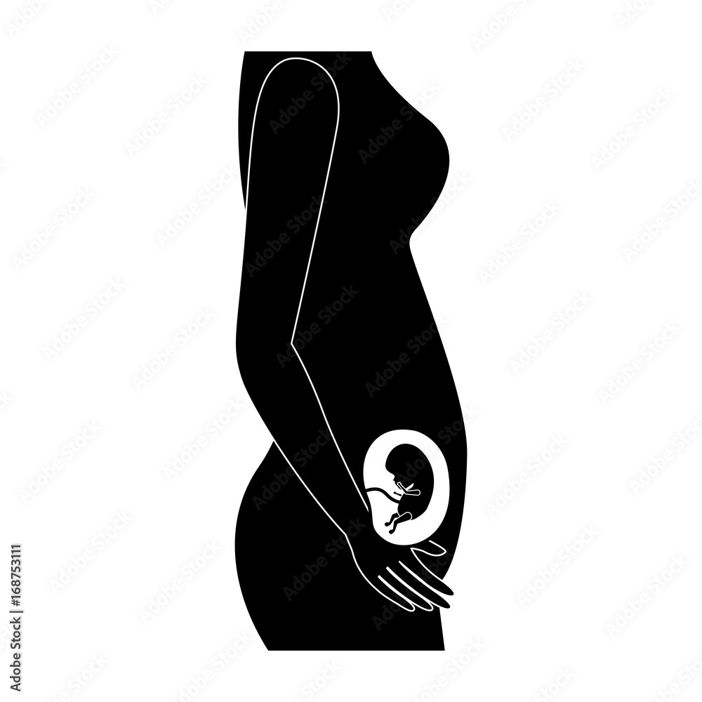 black silhouette of side view pregnancy process in female body fetus ...