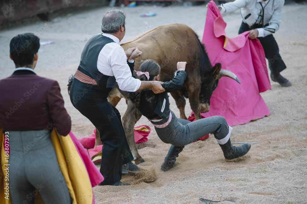 Accident. Matador woman Fighting in a typical Spanish Bullfight Stock ...