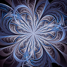 Fractal Lace Free Stock Photo - Public Domain Pictures