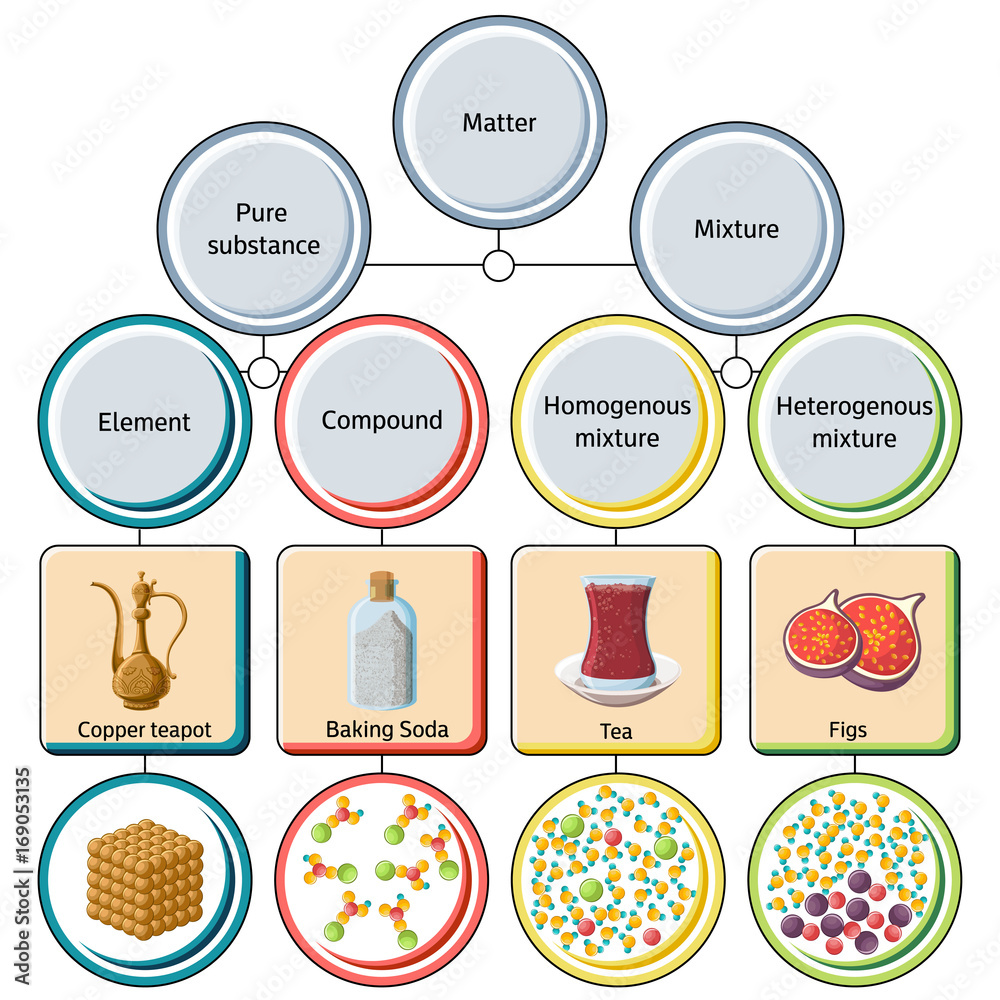 Pure substances and mixtures diagram. Stock Vector | Adobe Stock