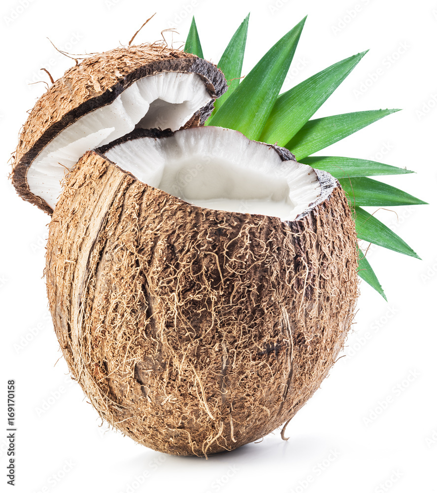 coconut fruit inside