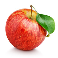 One Apple Free Stock Photo - Public Domain Pictures