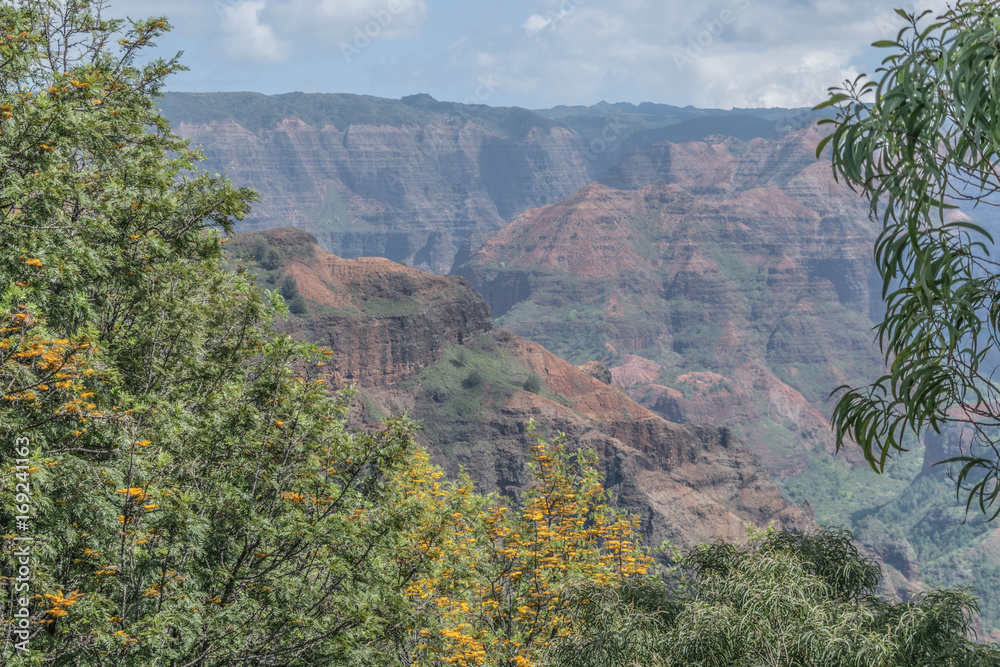 Partial view of the Waimea Canyon, with a flowering tree, on Kauai ...
