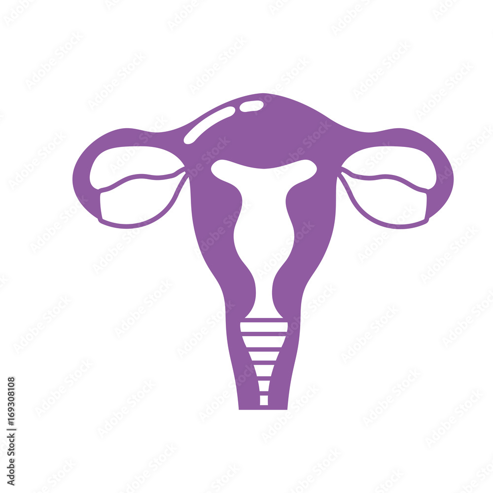 silhouette fallopian tubes with uterus to human anatomy Stock Vector ...
