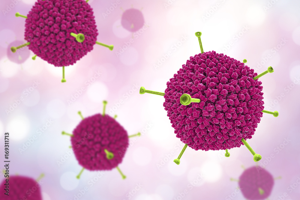 Molecular model of Adenovirus, a DNA-virus which causes respiratory and ...