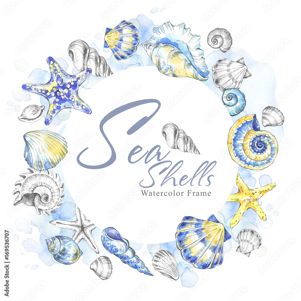 Hand painted seashells circle frame. Watercolor decorative summer ...