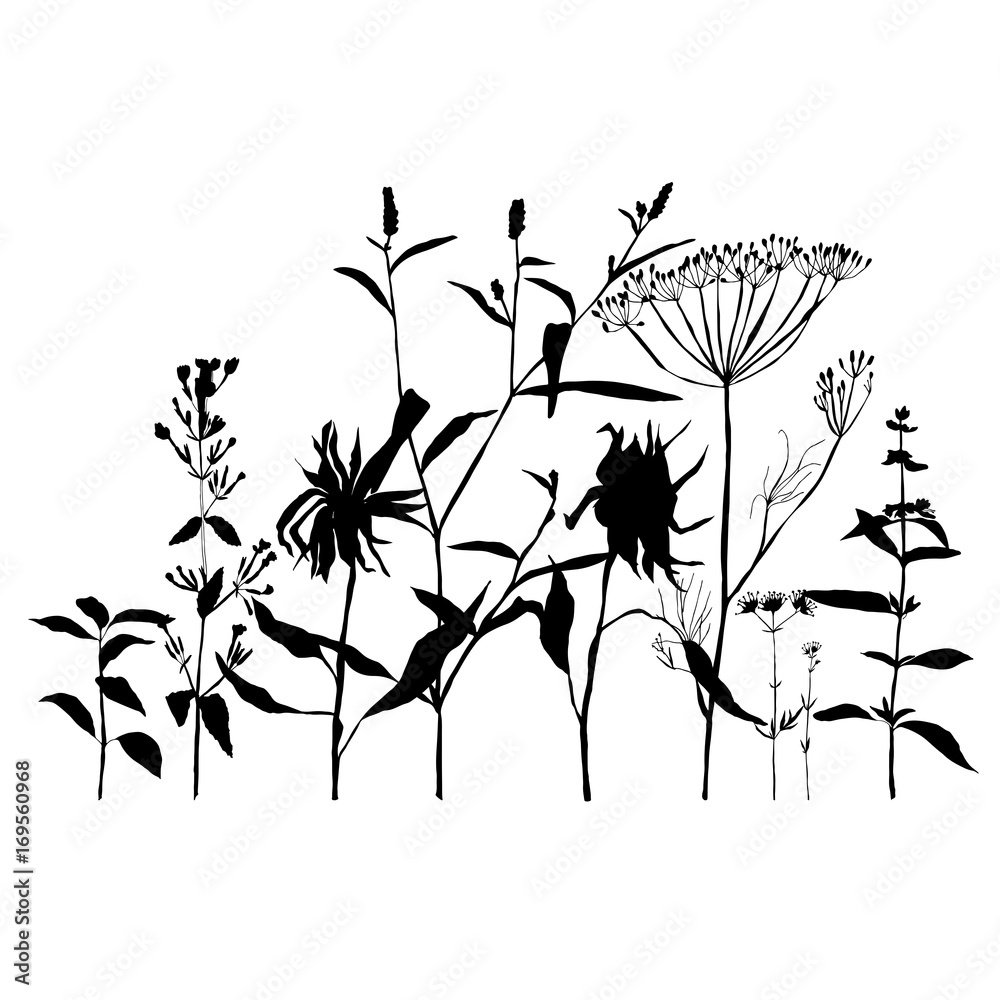 Floral background with meadow grasses, herbs and flowers outlines ...