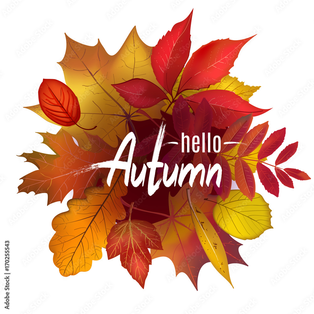 Hello Autumn lettering on colored foliage border composition isolated ...