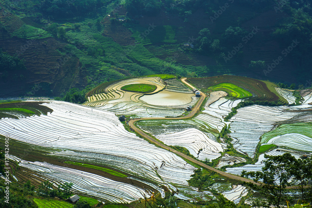 Terraced rice field in water season, the time before starting grow rice ...