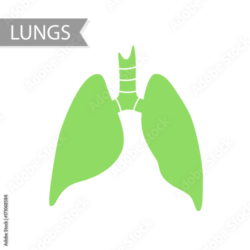 Vector silhouette medical illustration of human body organ - lungs with ...