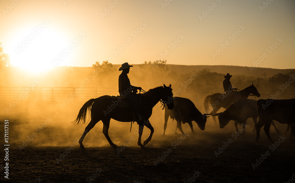 mustering, Kimberley, Western Australia Stock Photo | Adobe Stock