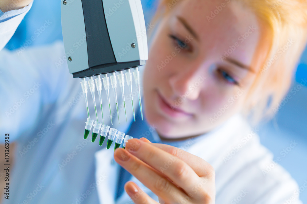 using a multi channel pipette for pcr processing in microbiological ...