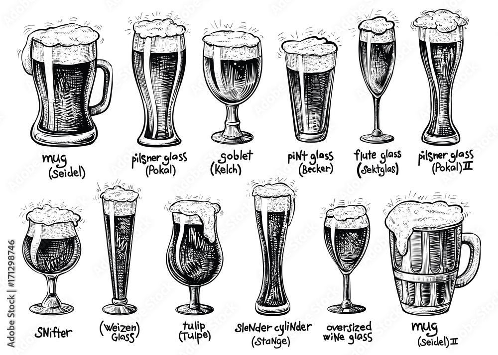 Beer glass and mugs types. Vector hand drawn vintage illustrations ...