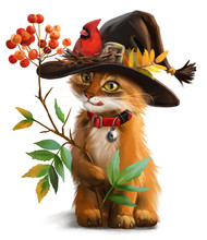 The Cardinal De Richelieu´s Cats Free Stock Photo - Public Domain Pictures