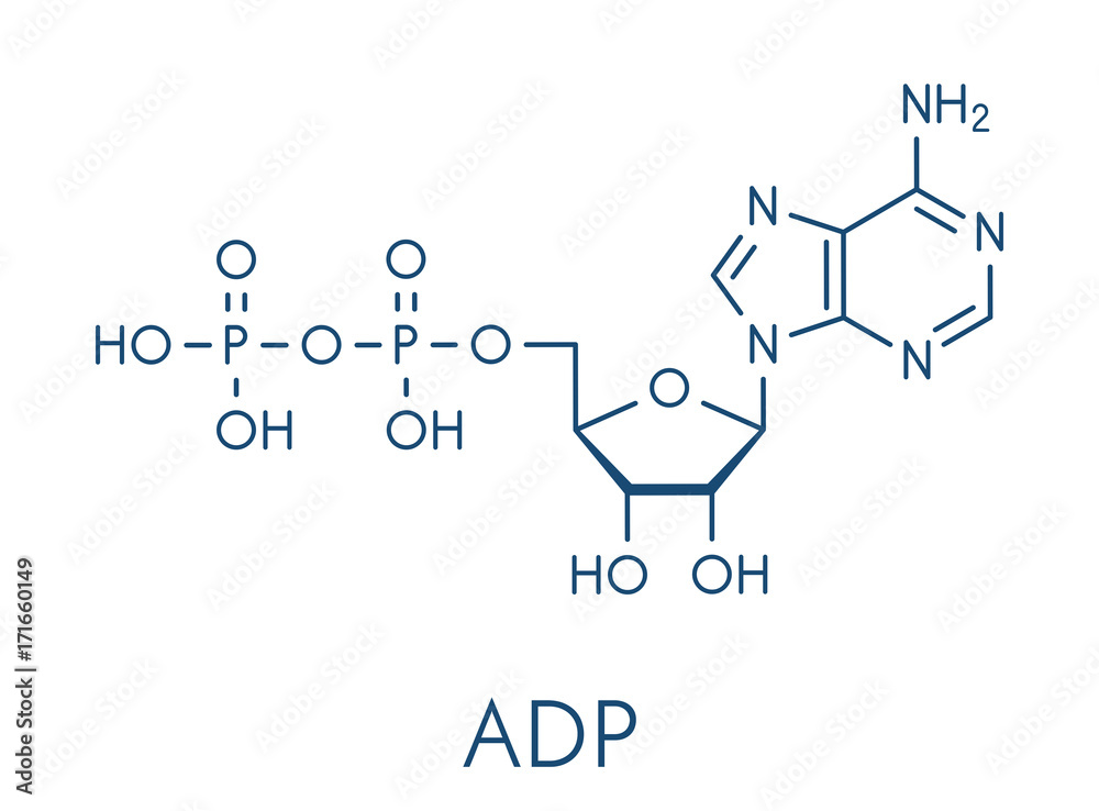 adenosine structure formula