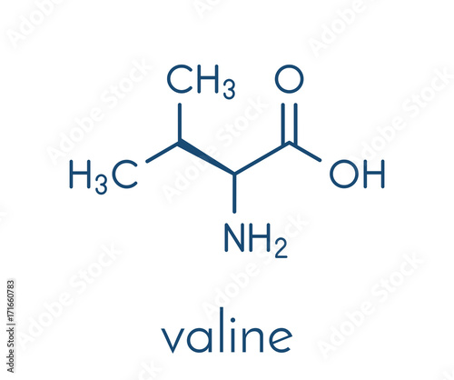 Valine (l-valine, Val, V) amino acid molecule. Skeletal formula. Stock ...