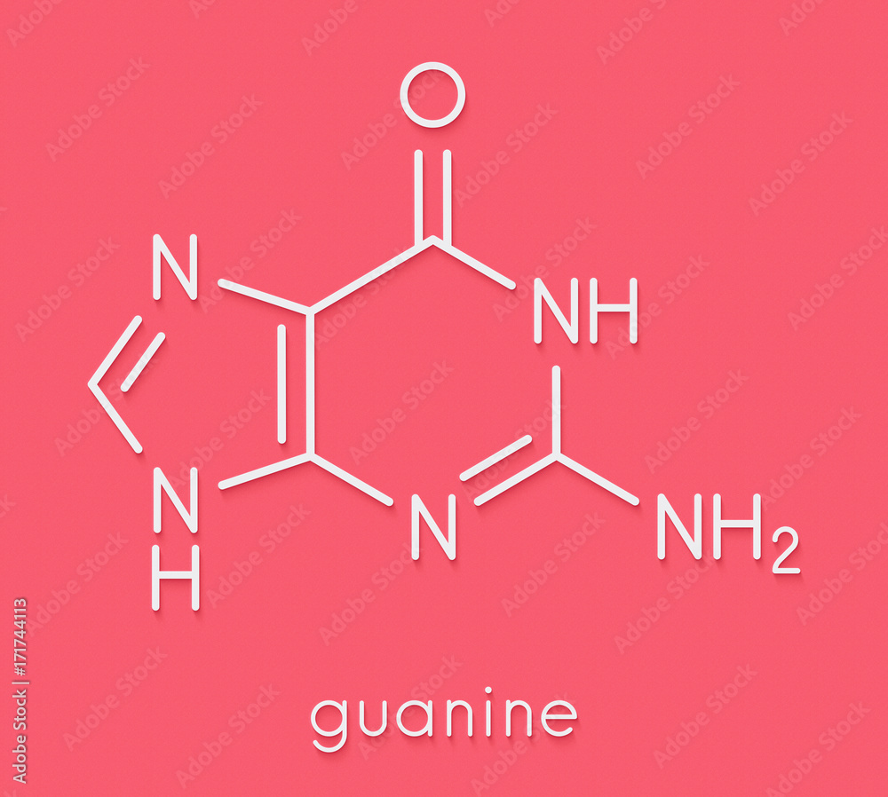 Guanine (G) purine nucleobase molecule. Base present in DNA and RNA ...