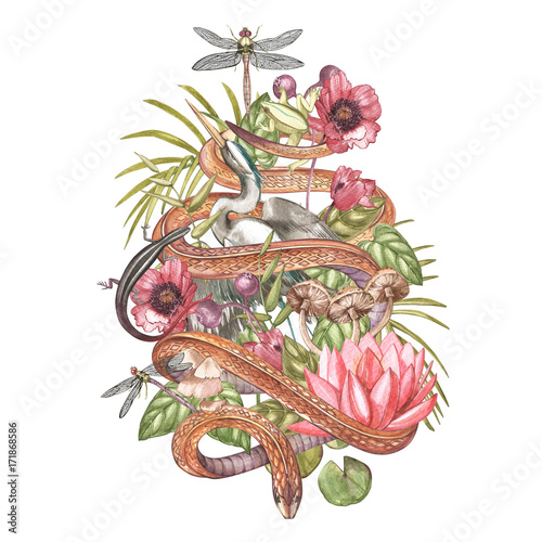 Set of hand drawn watercolor botanical illustration of swamp theme with ...