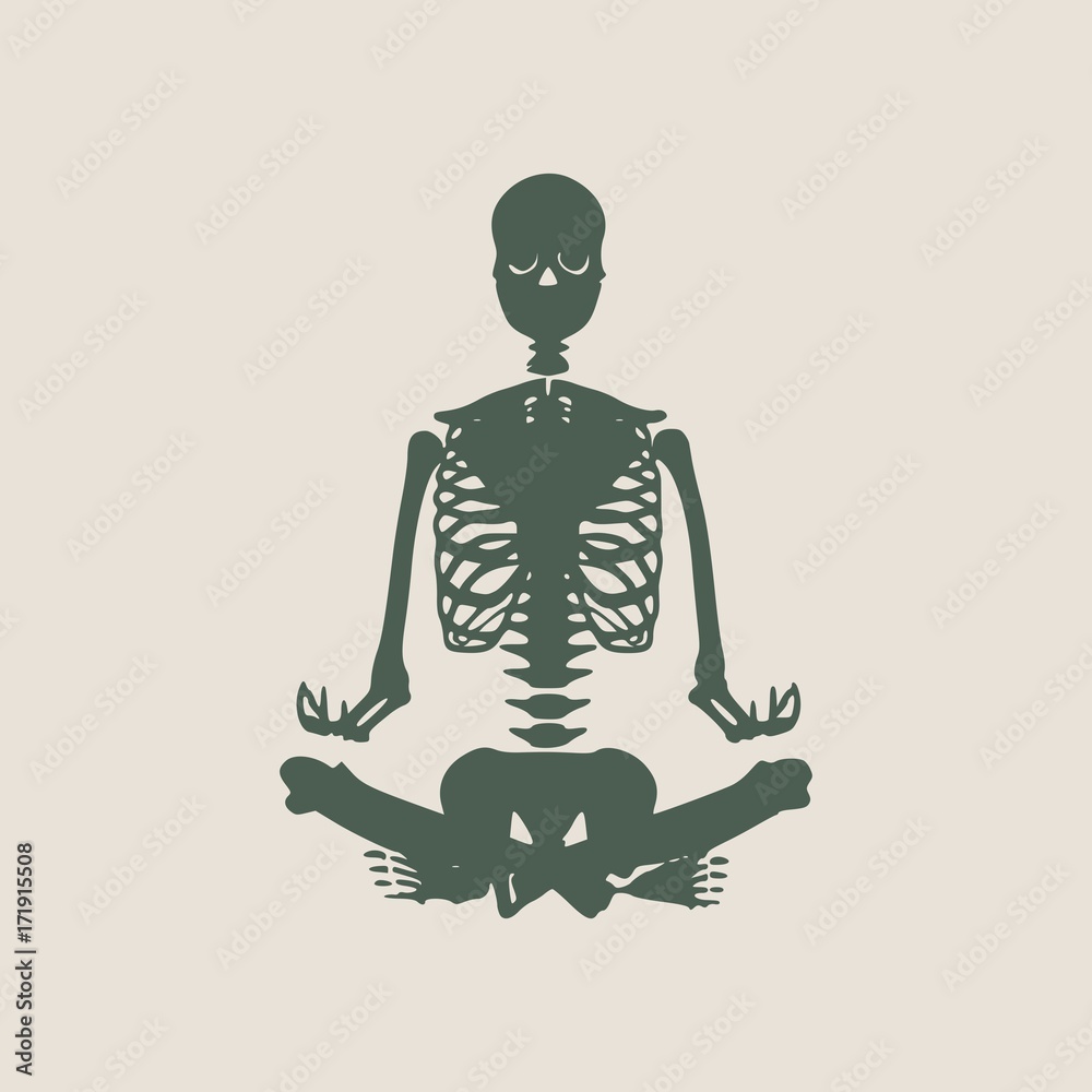 Human skeleton in yoga meditation pose. Front view. Vector illustration ...
