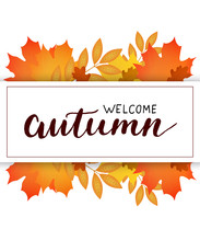 Welcome Fall Autumn Leaves Free Stock Photo - Public Domain Pictures
