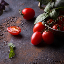 Tomato Rust Free Stock Photo - Public Domain Pictures