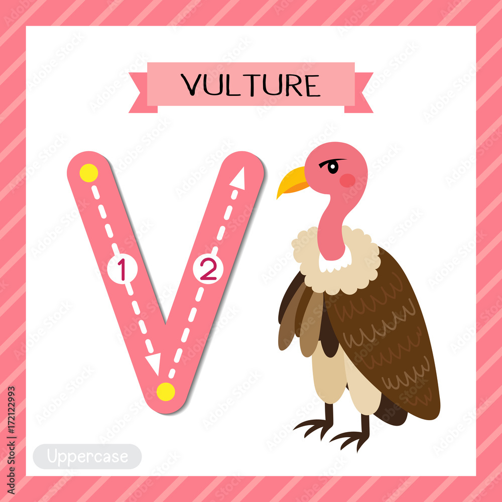 Letter V uppercase cute children colorful zoo and animals ABC alphabet ...