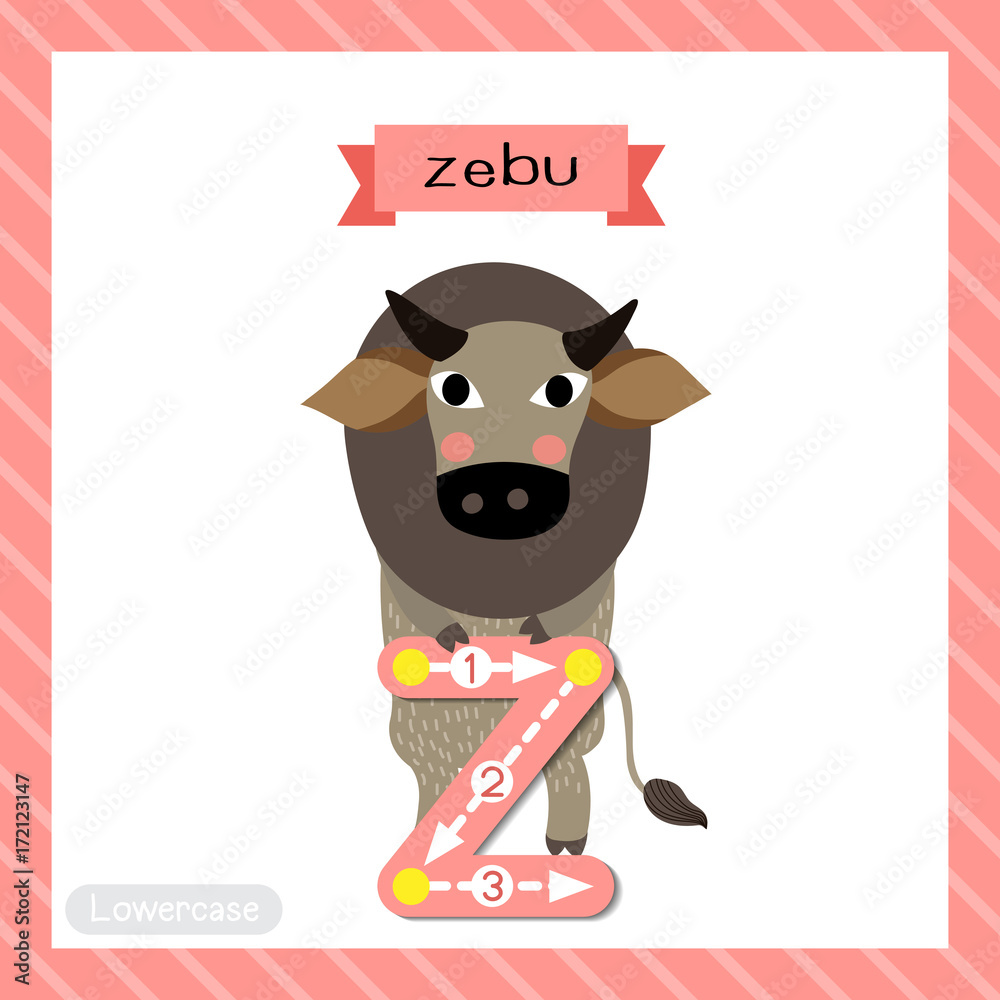Letter Z lowercase cute children colorful zoo and animals ABC alphabet ...