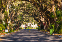 Famous Magnolia Street Free Stock Photo - Public Domain Pictures