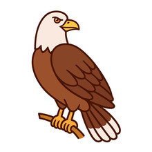 Bald Eagle Clipart Free Stock Photo - Public Domain Pictures