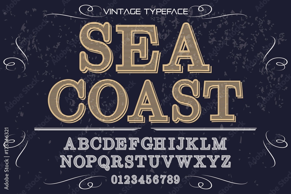 script handcrafted vector calligraphy font typeface,vector,labels ...