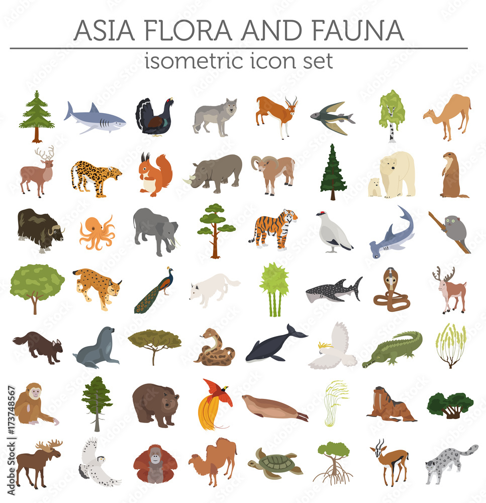 Isometric 3d Asian flora and fauna map constructor elements. Animals ...