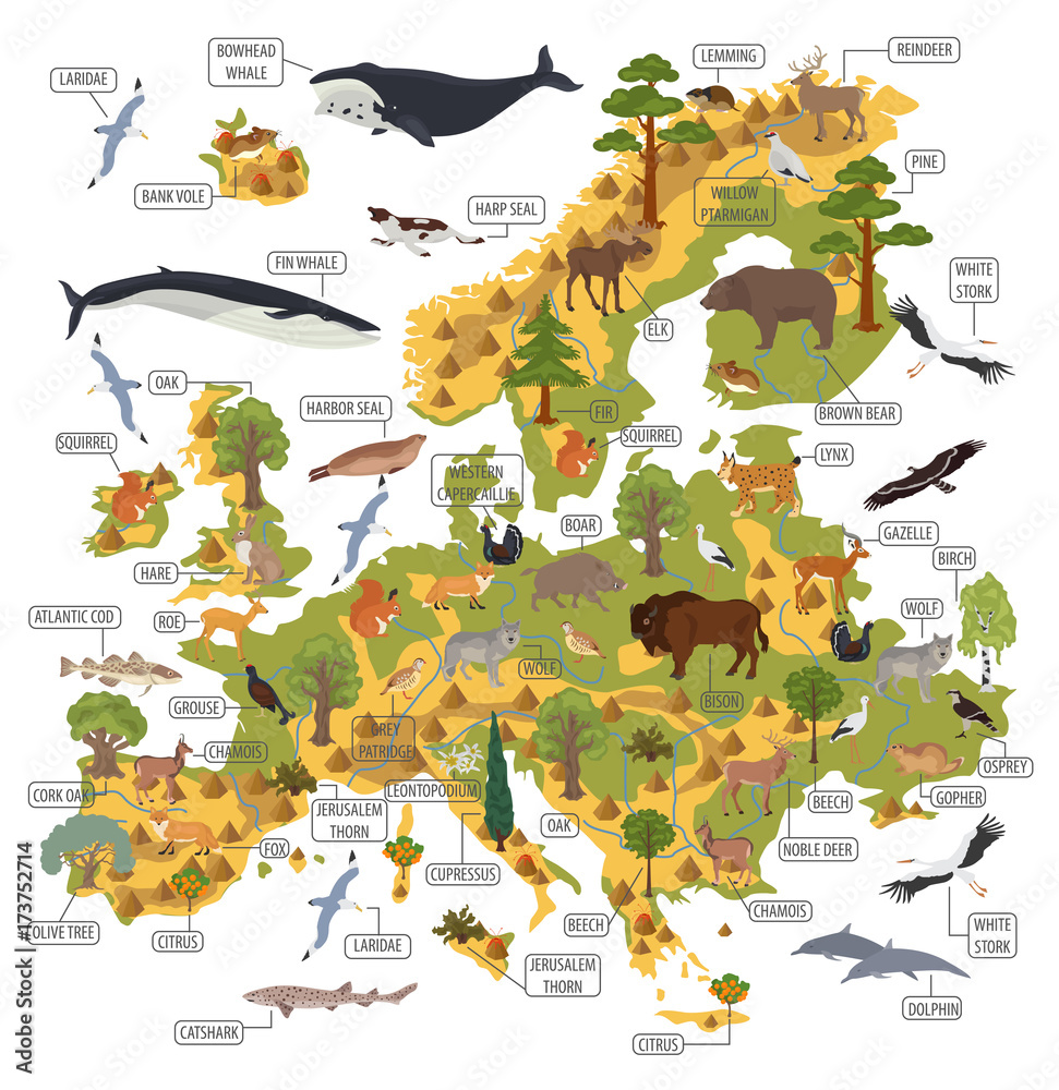 Flat European flora and fauna map constructor elements. Animals, birds ...