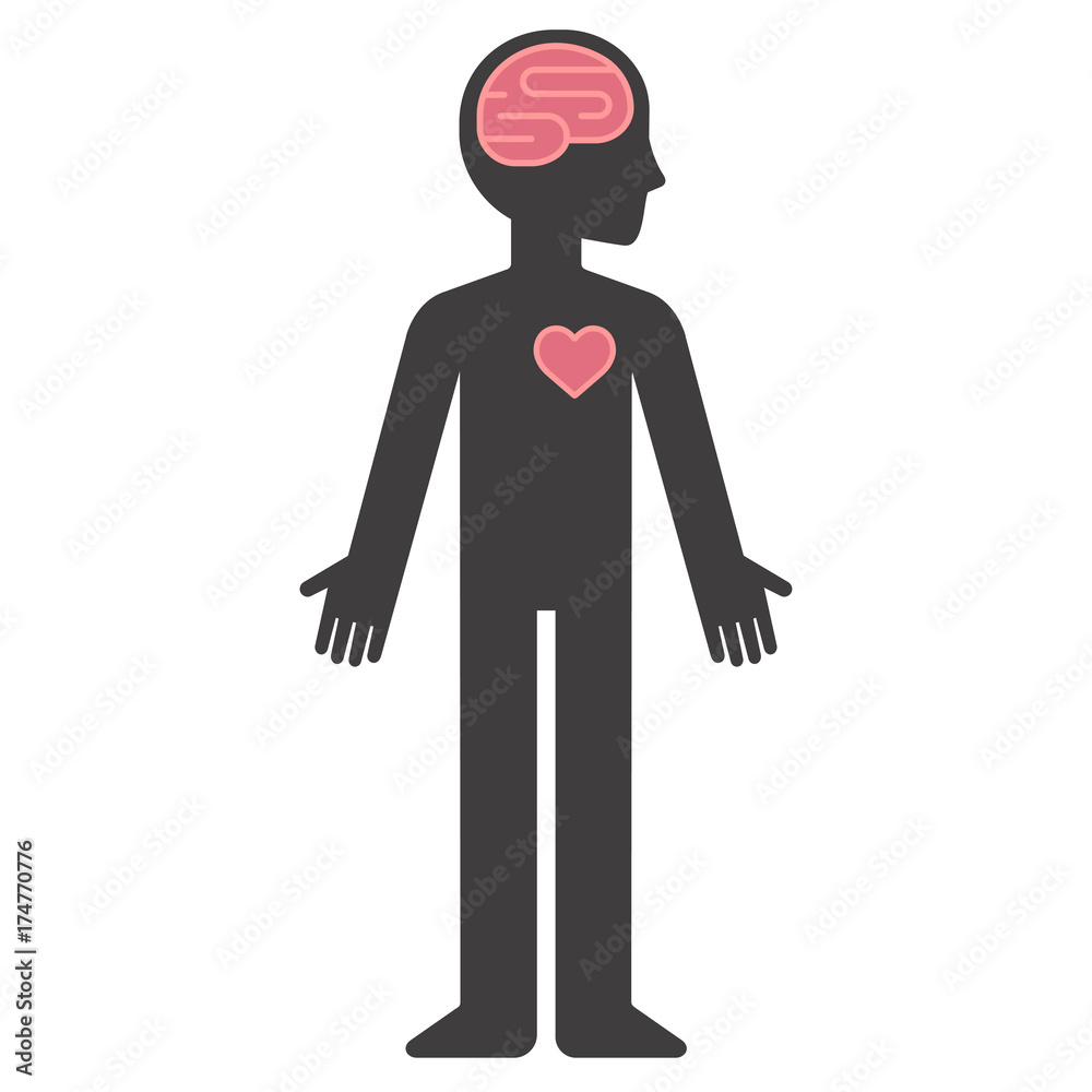 Cartoon human body silhouette with brain and heart Stock Vector | Adobe ...