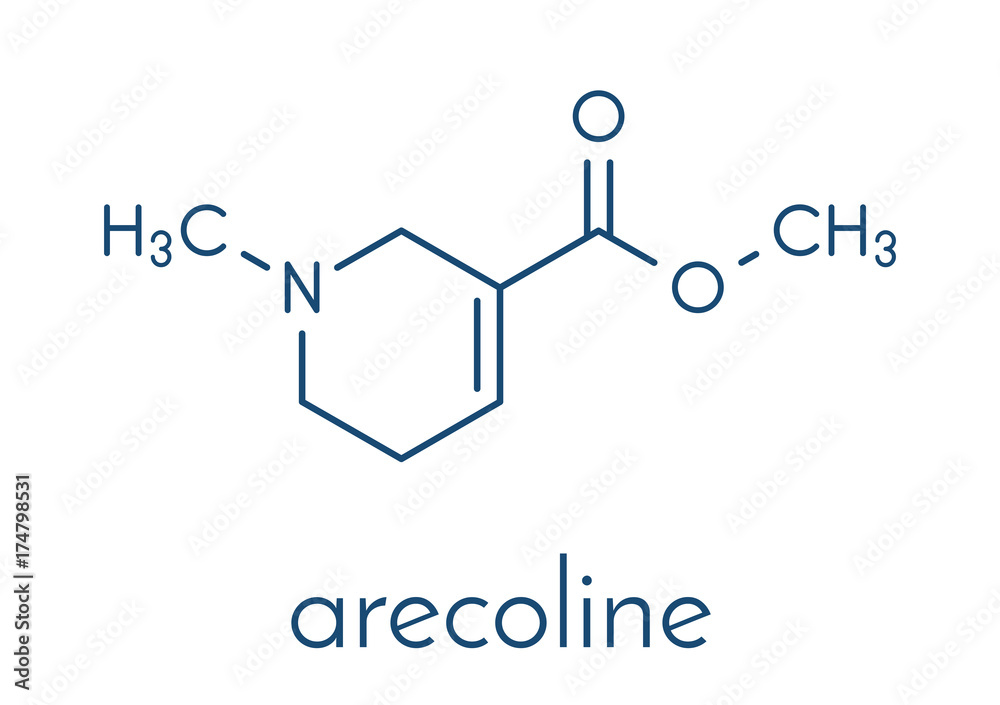 Arecoline areca nut stimulant compound, chemical structure. Skeletal formula. Stock Vector ...