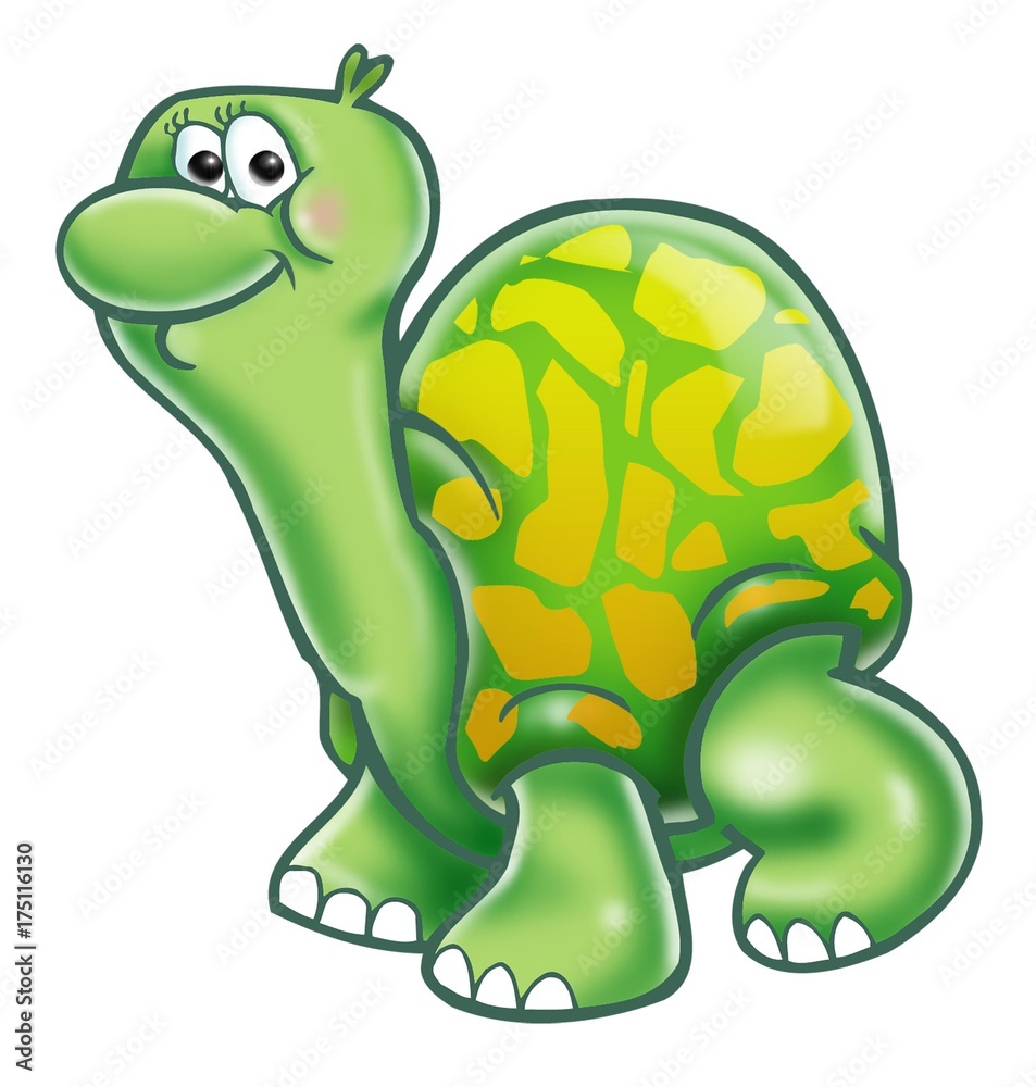 Ilustración animada de tortuga Stock Illustration | Adobe Stock
