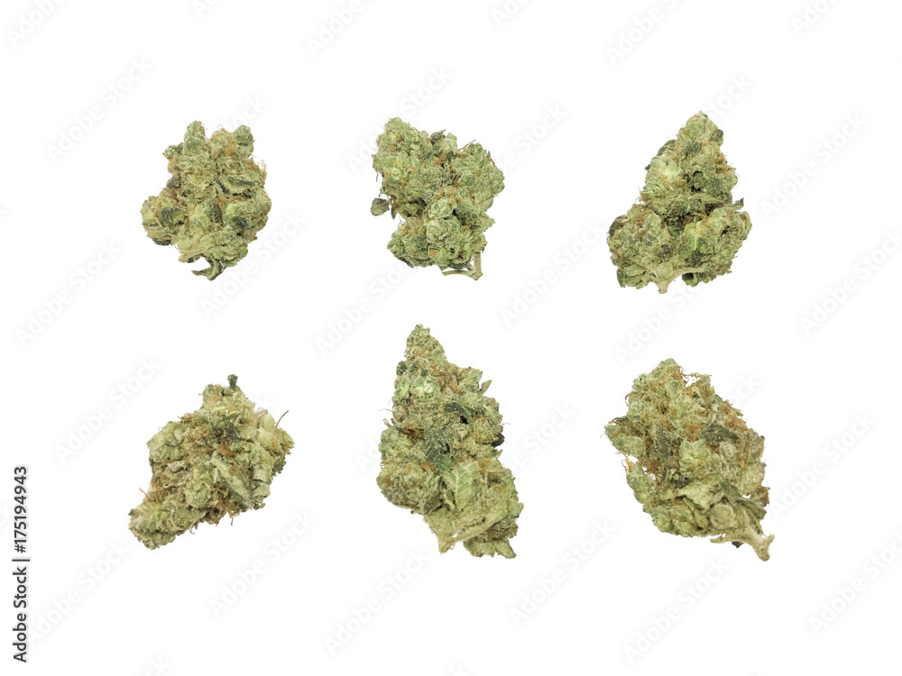 Marijuana Cannabis Buds HDR Isolated On White Background Stock ...