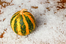 Yellow And Green Gourd Free Stock Photo - Public Domain Pictures