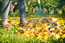 Little Girl Raking Leaves In Fall 2 Free Stock Photo - Public Domain ...