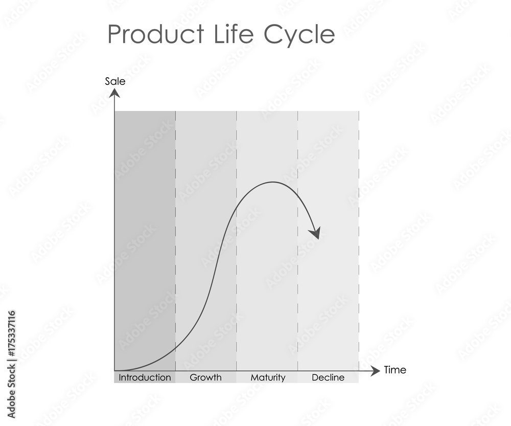 Stage of Product Life Cycle Stock Vector | Adobe Stock