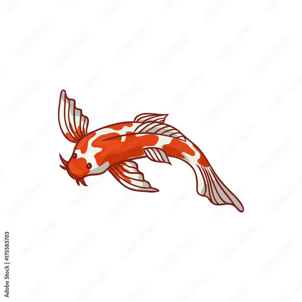 Japanese, Asian koi carp, goldfish, gold fish, top view flat style ...