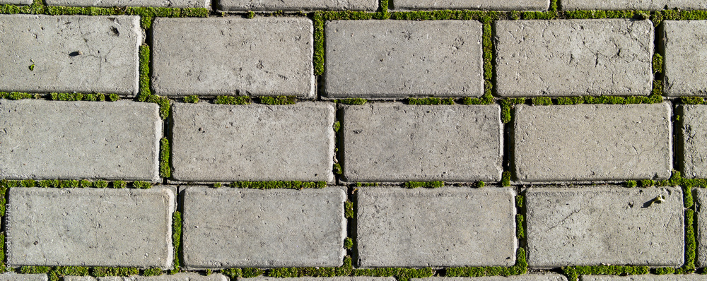 Pavement. Sidewalk tile background. Pavement tile. Top view. Closeup ...