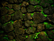 Green Rock Wall Background Free Stock Photo - Public Domain Pictures