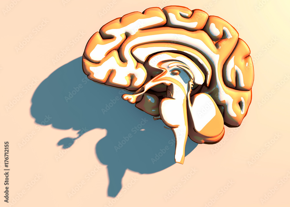 Cervello, neuroni, sinapsi, rete neurale, circuito di neuroni, malattie ...