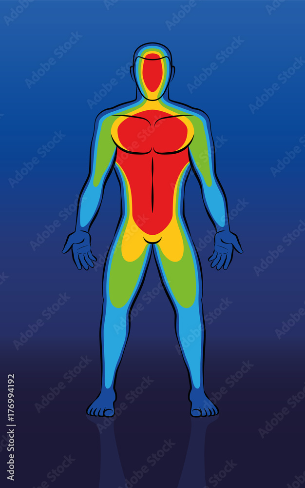 Thermal image - male body, front view - infrared thermography of a ...