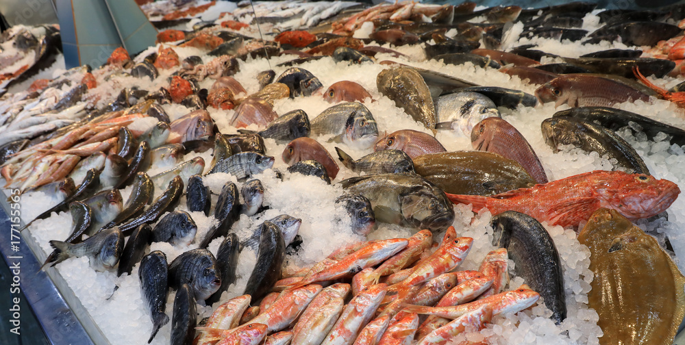Variety of sea fishes on the counter in a greek fish shop. Stock Photo ...